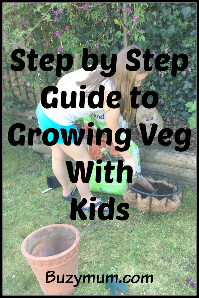 Step by Step Guide to Growing Veg With Kids – Buzymum