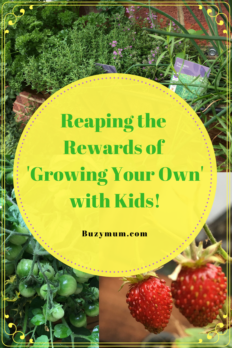Reaping the Rewards of ‘Growing Your Own’ with Kids! – Buzymum